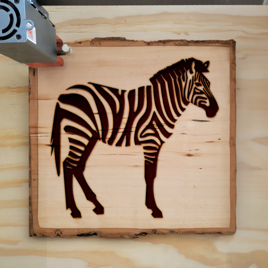 Safari Zebra – Creative Meadow