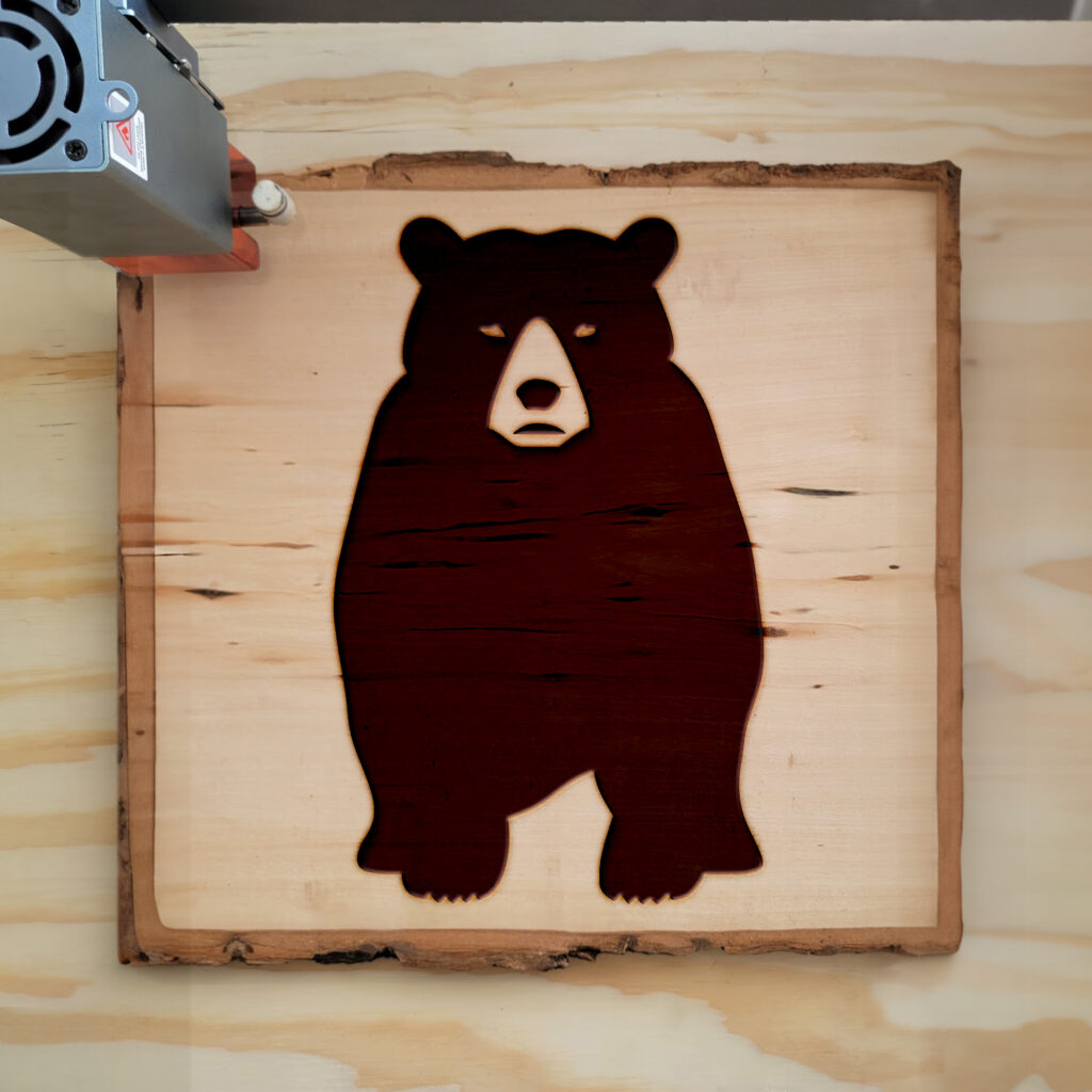 Bear – Creative Meadow