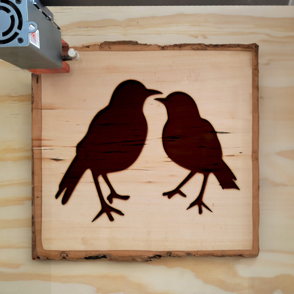 Pair of Birds – Creative Meadow