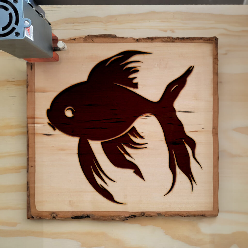 Beautiful Goldfish – Creative Meadow