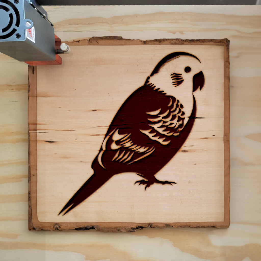 Pet Parakeet – Creative Meadow