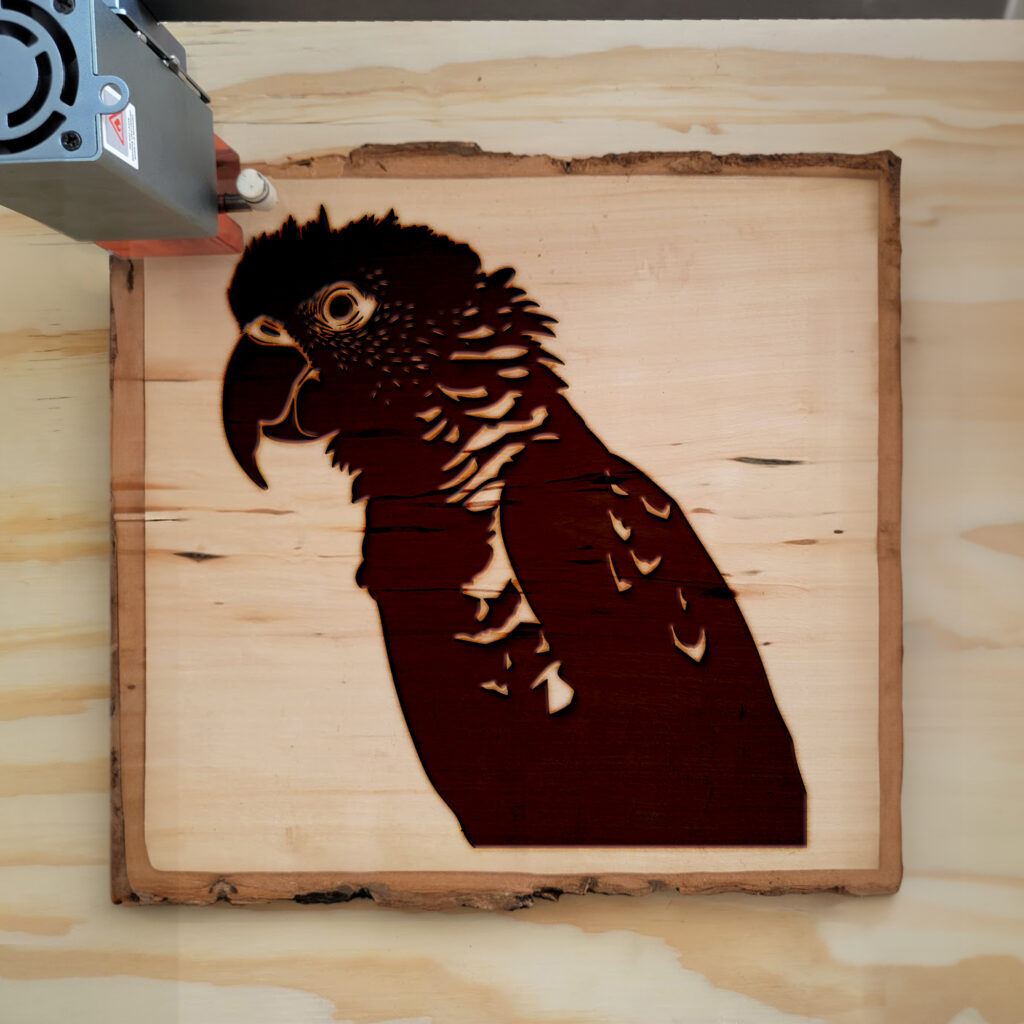 Realistic Parrot – Creative Meadow
