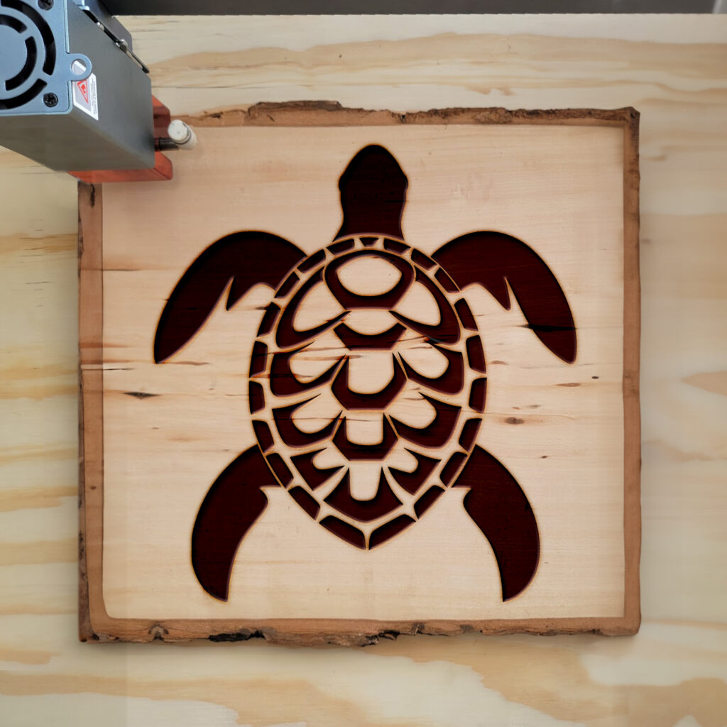 Green Sea Turtle – Creative Meadow