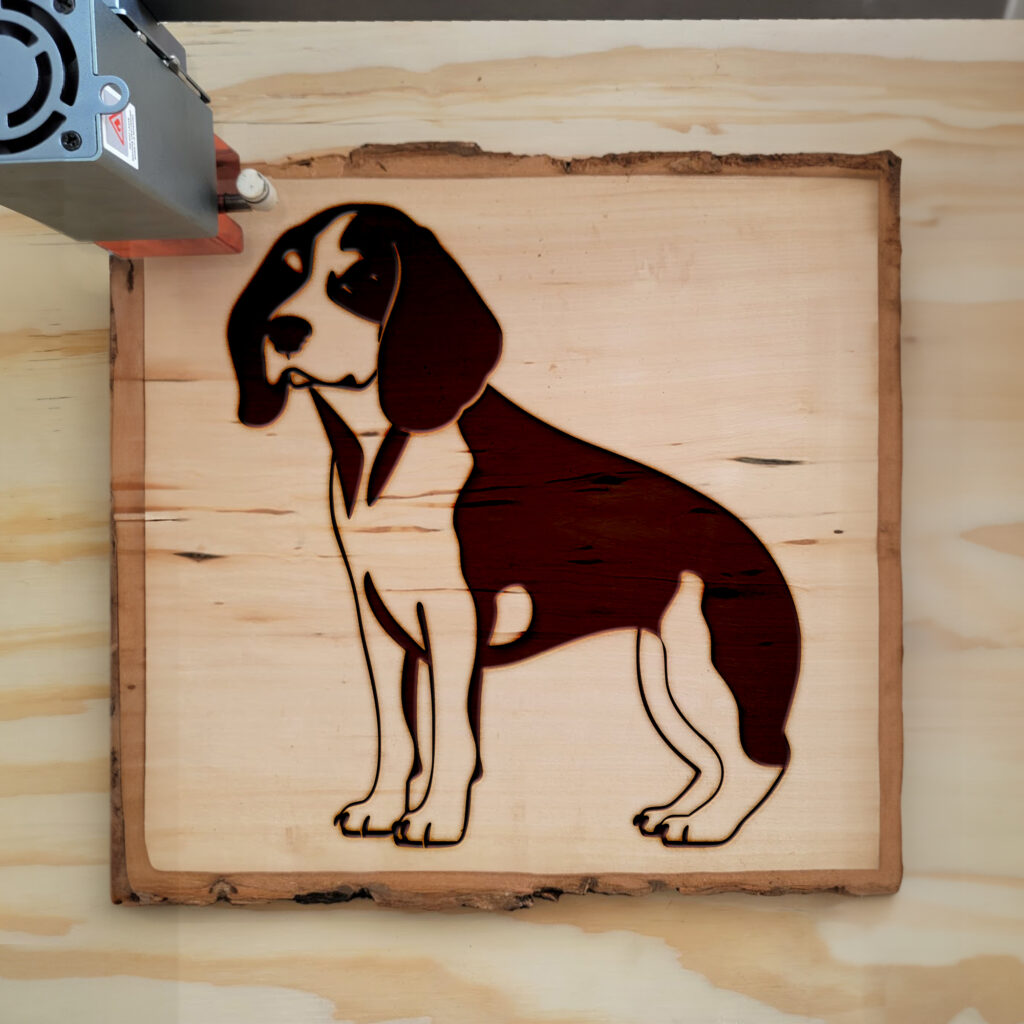 Beagle with Droopy Ears – Creative Meadow