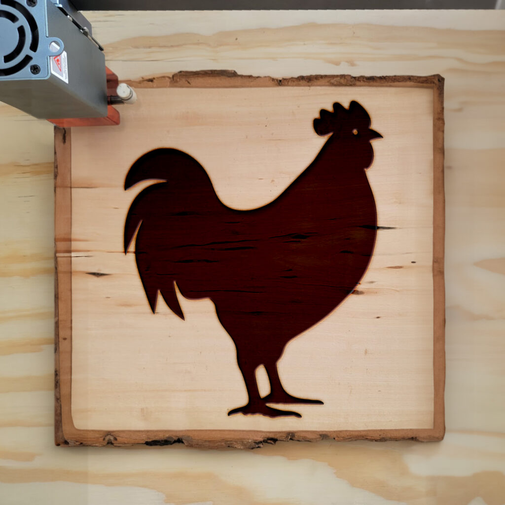 Strutting Chicken – Creative Meadow