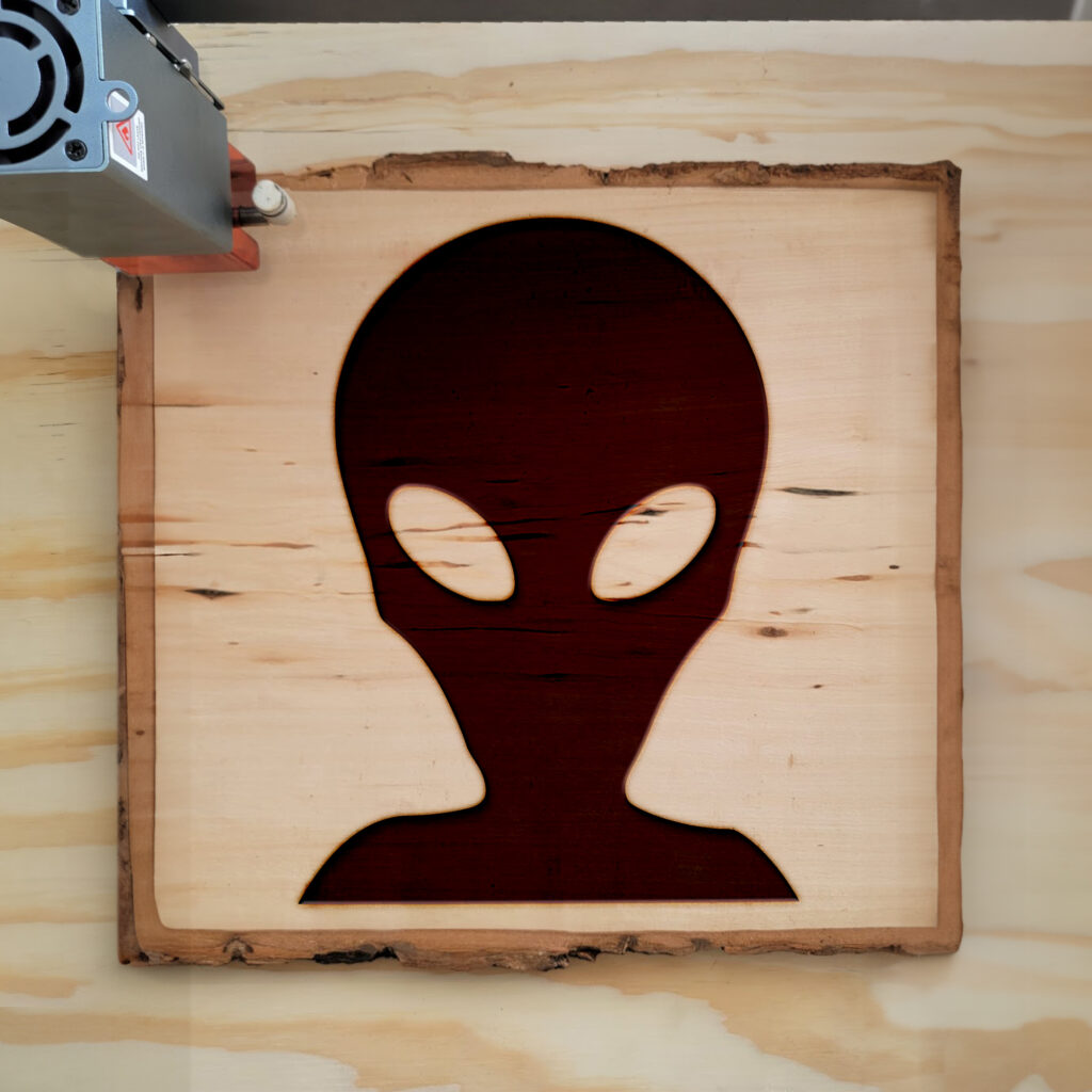 Area 51 – Creative Meadow