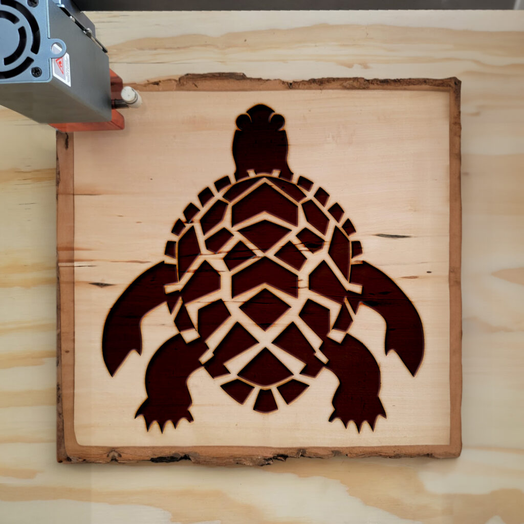 Ocean Turtle – Creative Meadow
