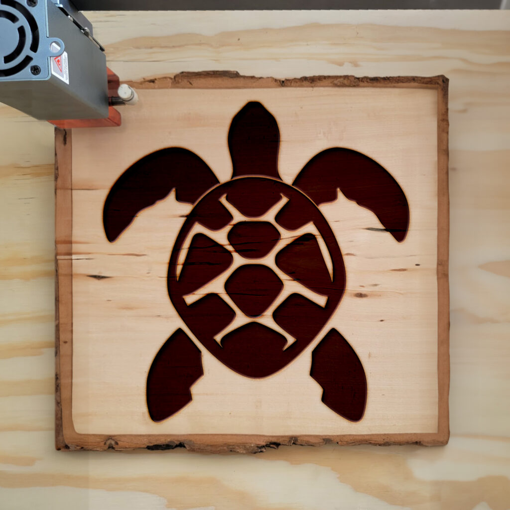 Turtle Friend – Creative Meadow