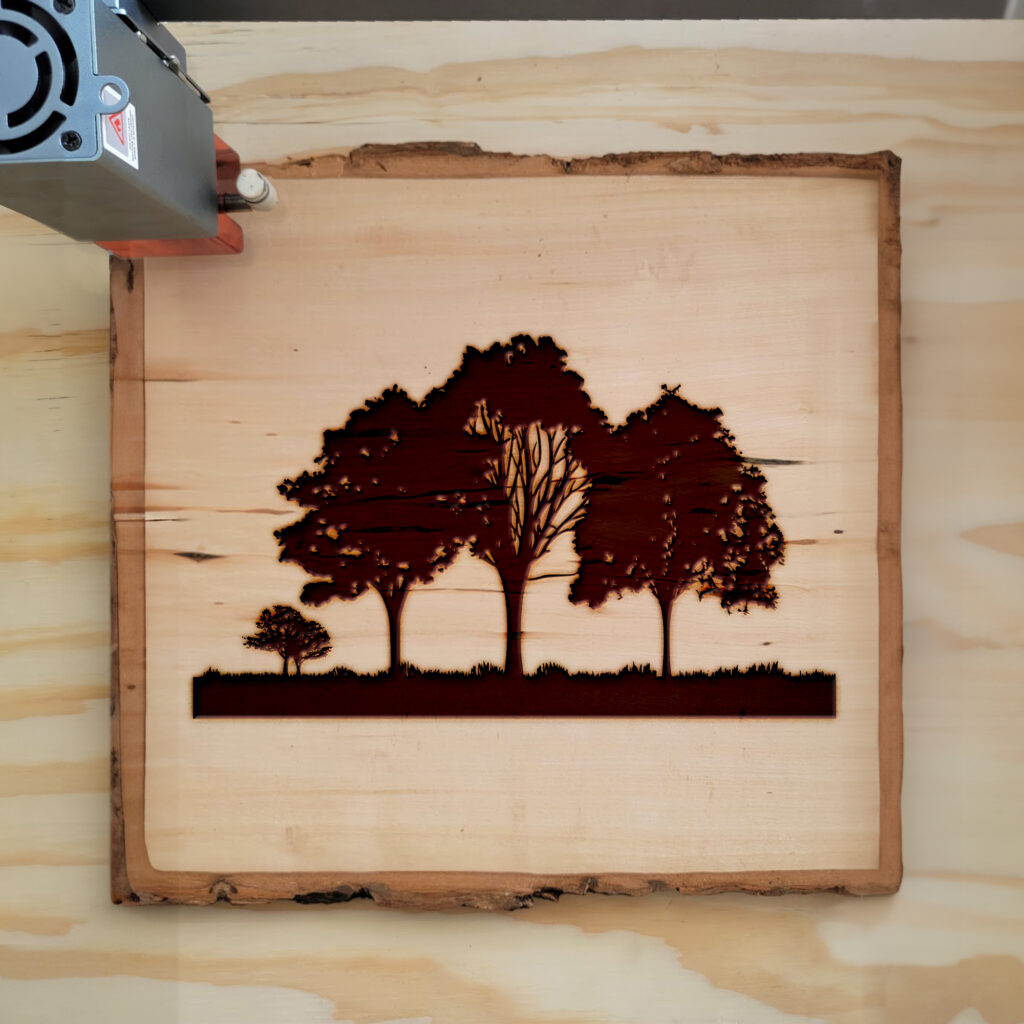 Tree Line in Valley – Creative Meadow