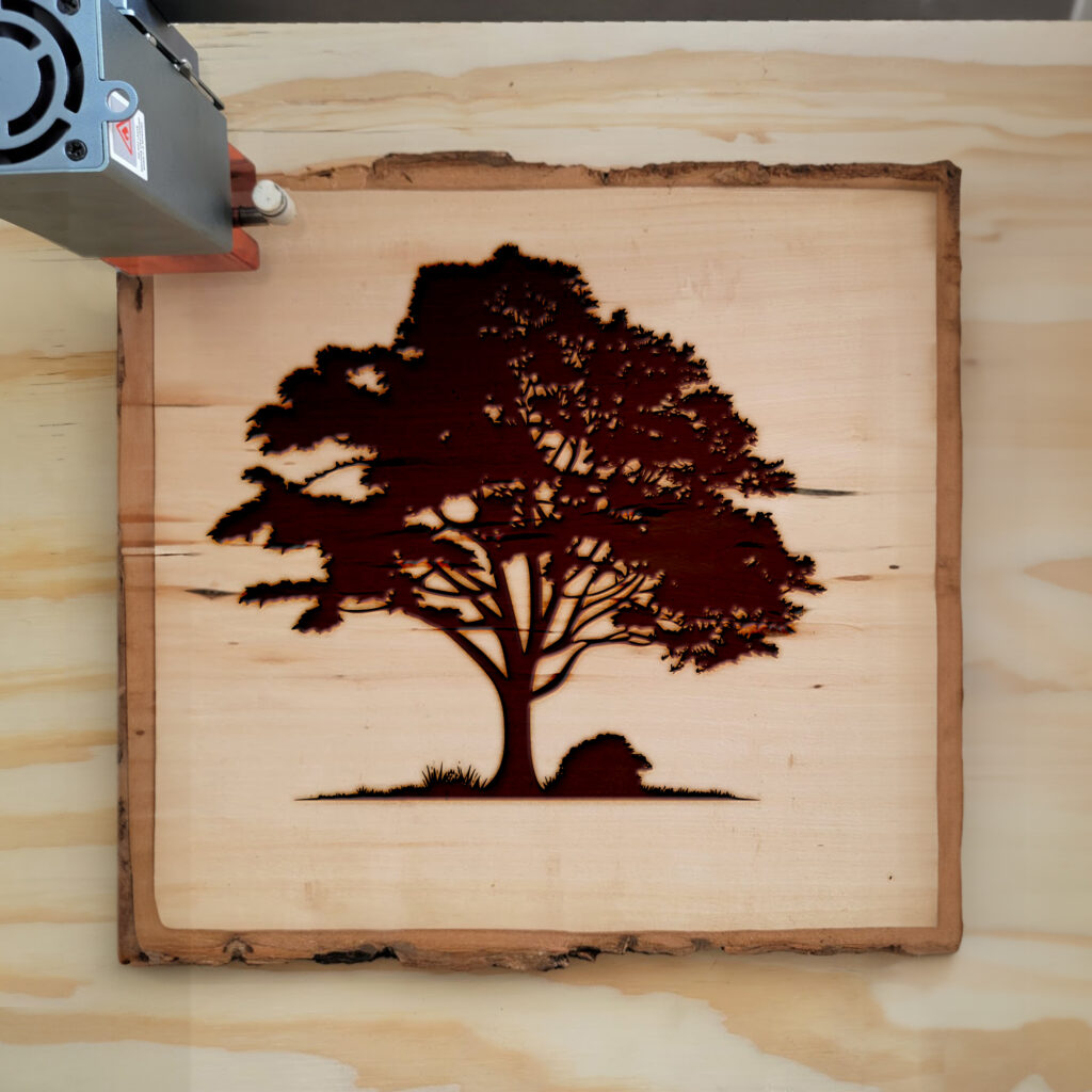 Oak Tree – Creative Meadow