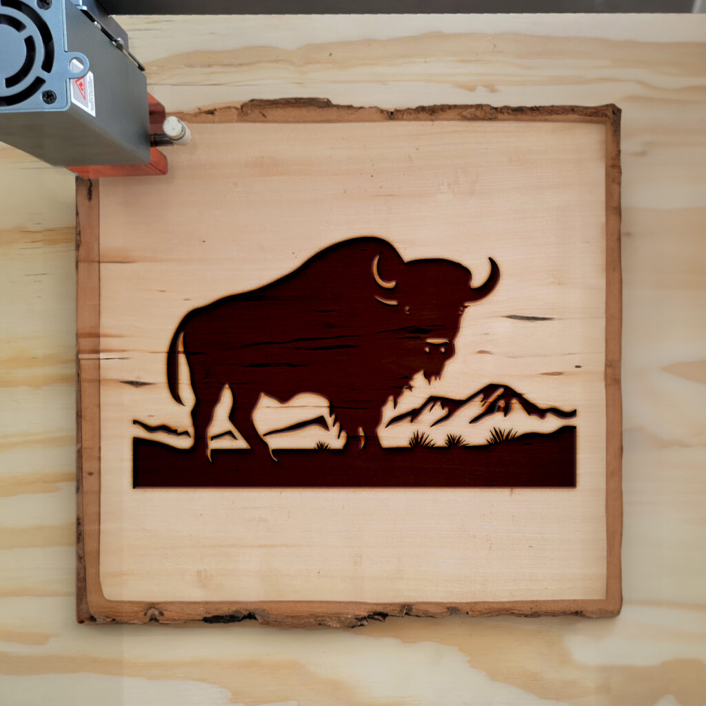 Buffalo on the Dunes – Creative Meadow