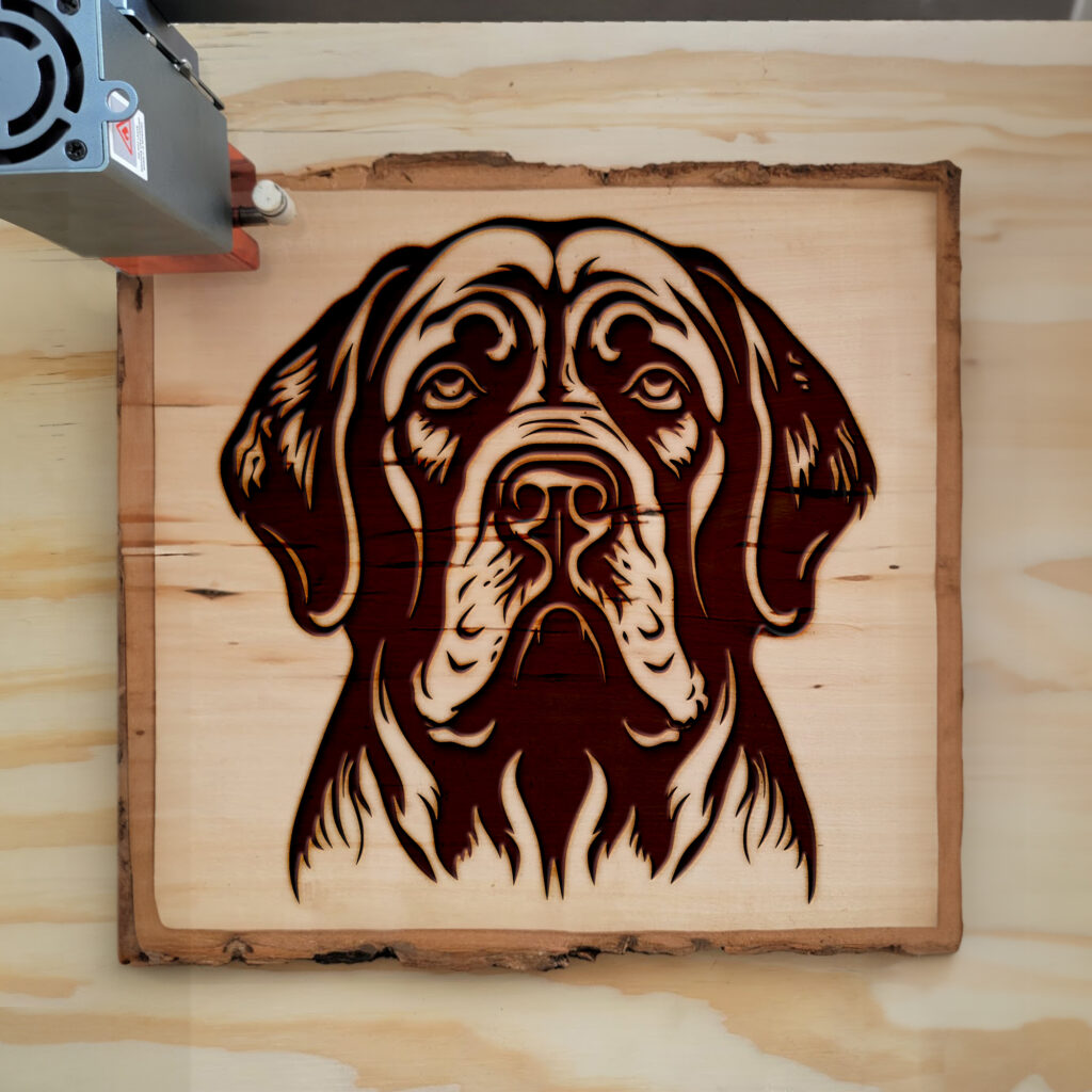Sleepy Dog with Droopy Eyes – Creative Meadow