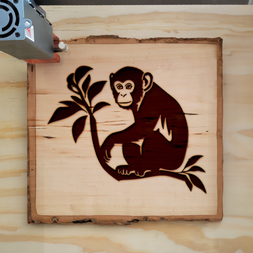 Perched Primate – Creative Meadow