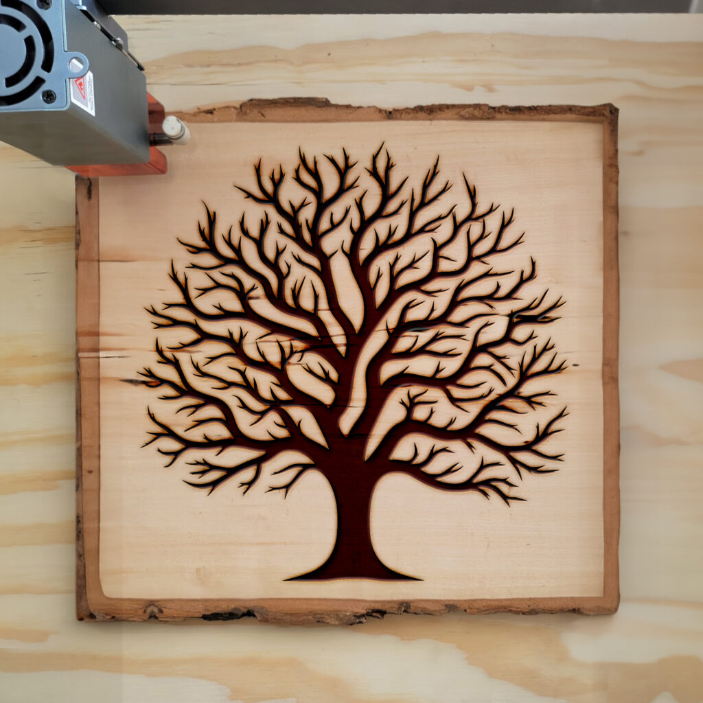 Barren Tree – Creative Meadow