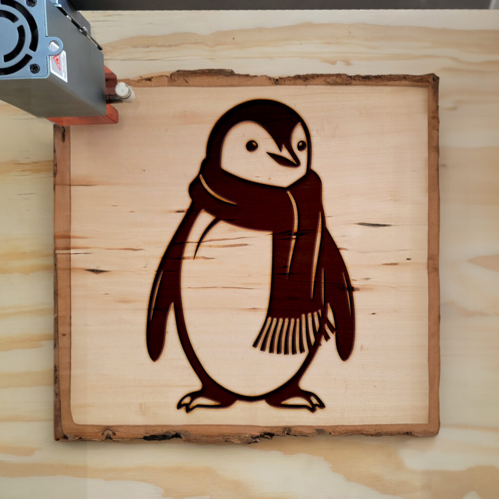 Stylish Penguin – Creative Meadow