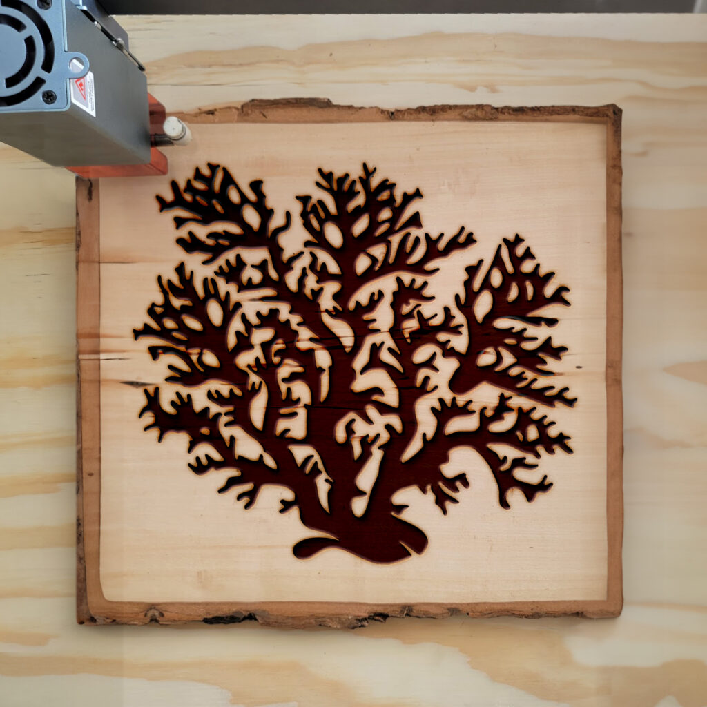 Tropical Reef – Creative Meadow