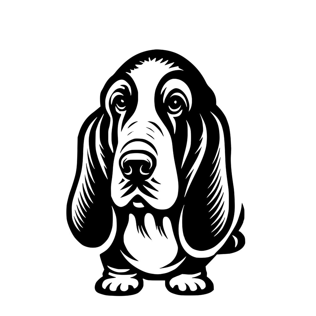 **Droopy Basset Dog SVG Design for Cricut Silhouette Laser**