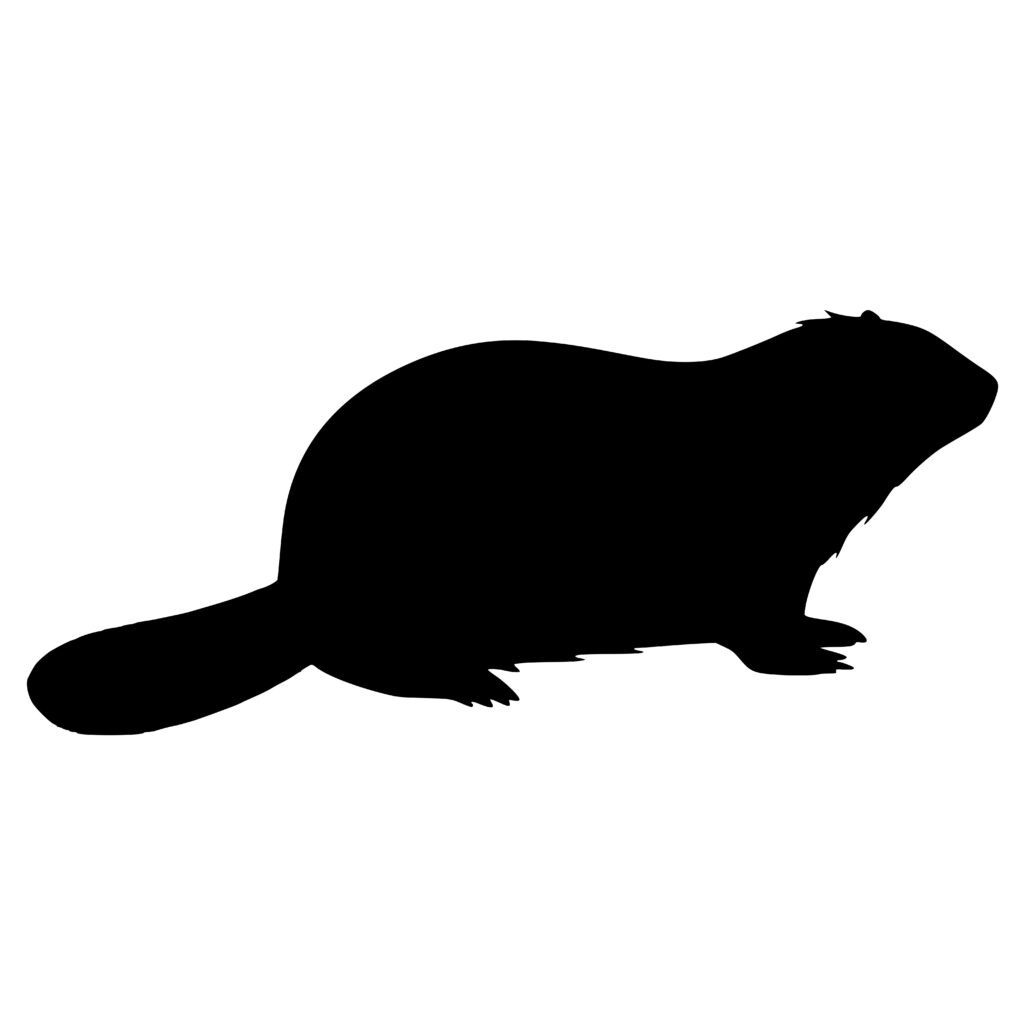 Bushy Beaver Silhouette SVG - Compatible with Cricut, Silhouette