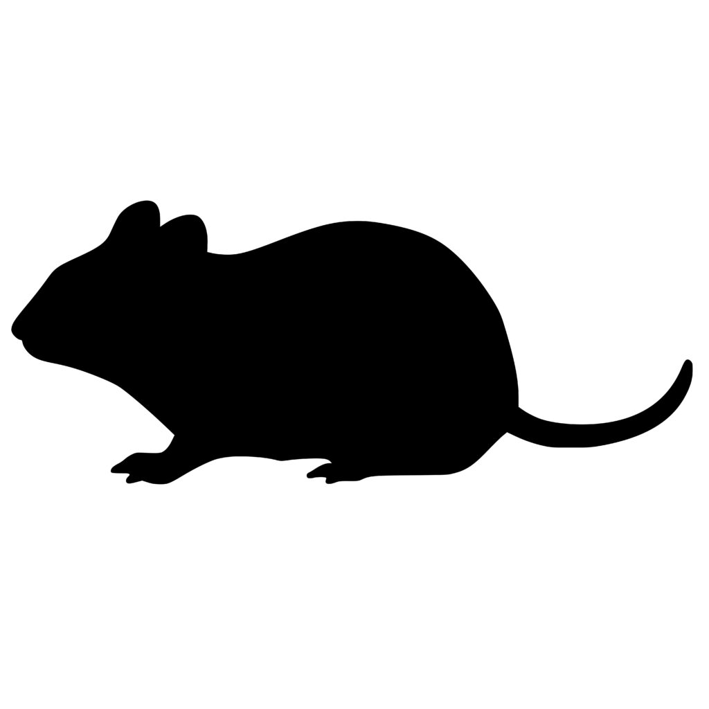 Resting Mouse Graphic for Cricut, Silhouette, Laser Machines - SVG, PNG ...