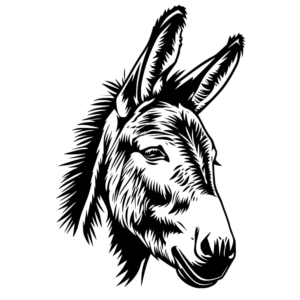 Donkey Profile – Creative Meadow