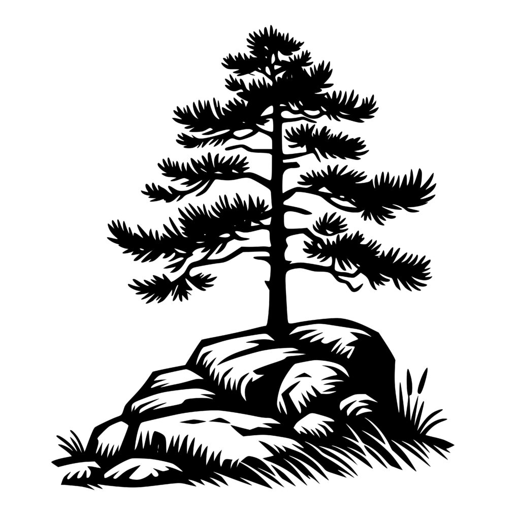 Lone Conifer Tree – Creative Meadow