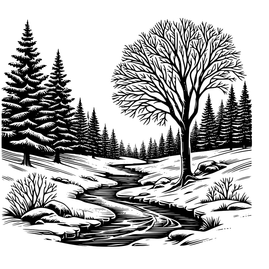 Creek in the Woods – Creative Meadow