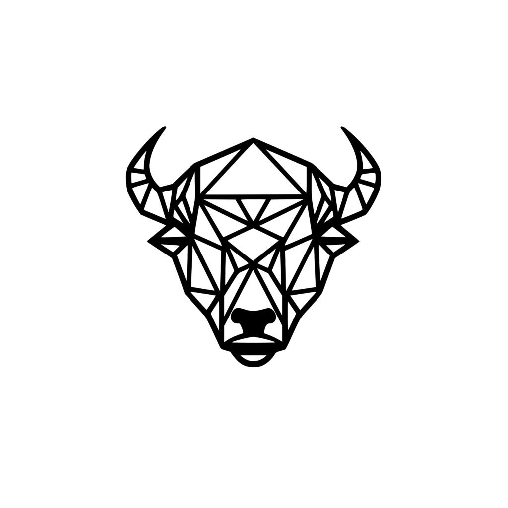 Bison Geometry – Creative Meadow
