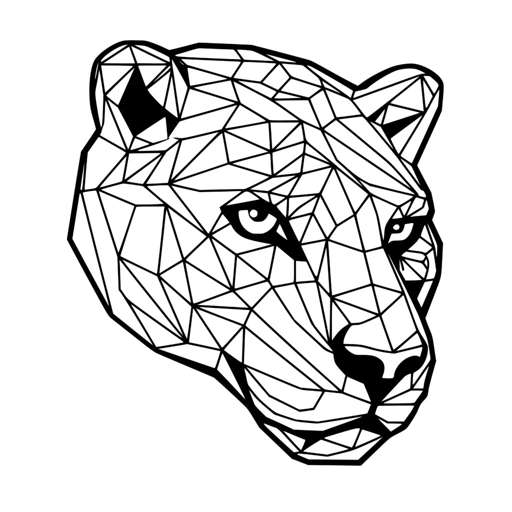 Leopard Geometry – Creative Meadow