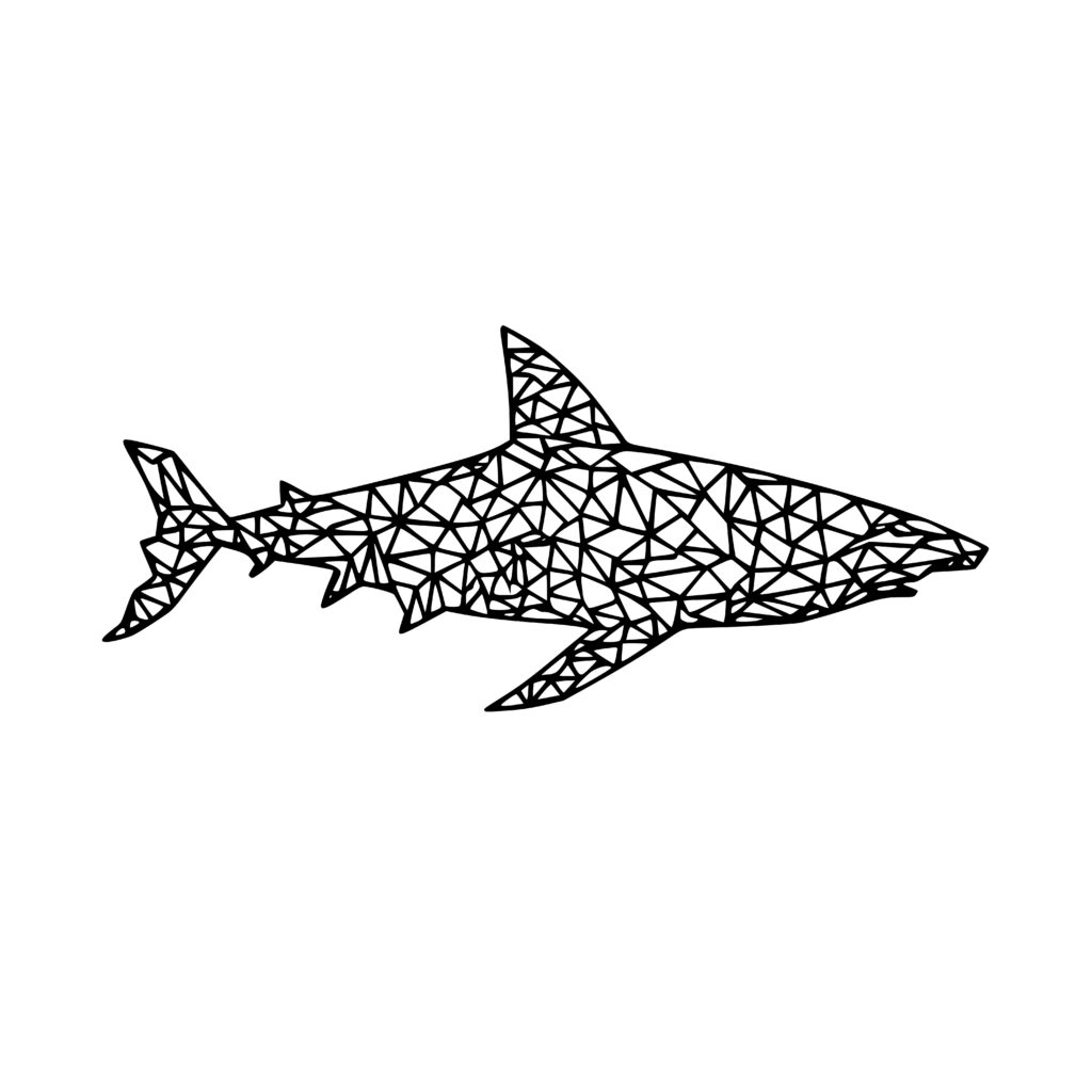 Geometric Shark – Creative Meadow