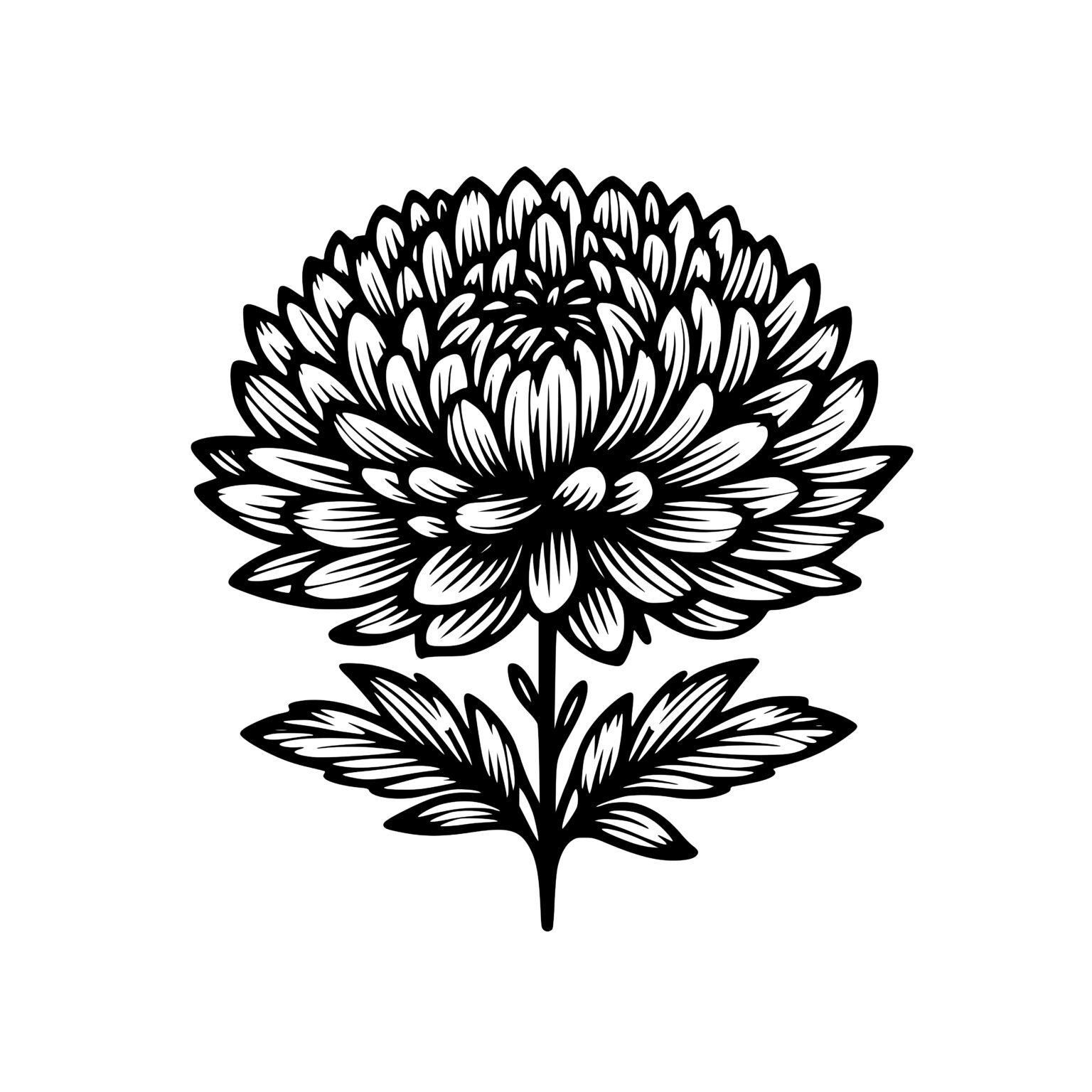 Shop - Creative Meadow