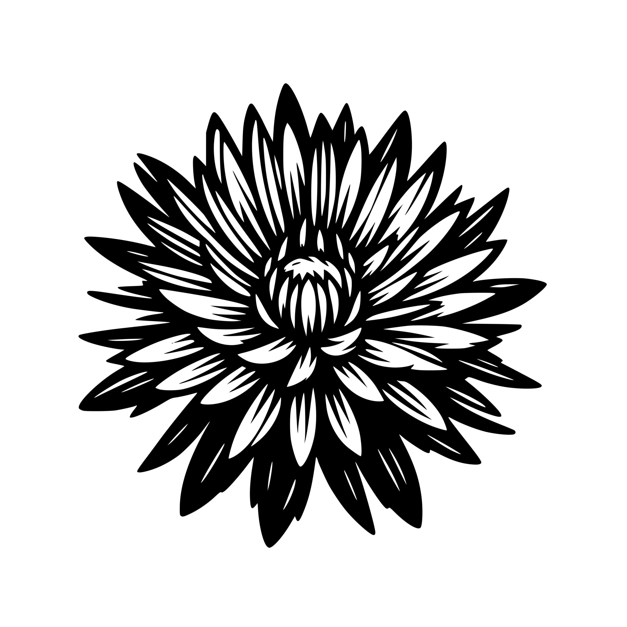 Shop - Creative Meadow