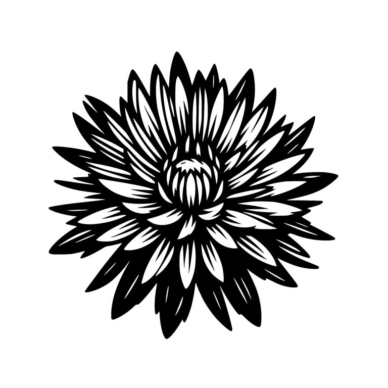 Shop - Creative Meadow