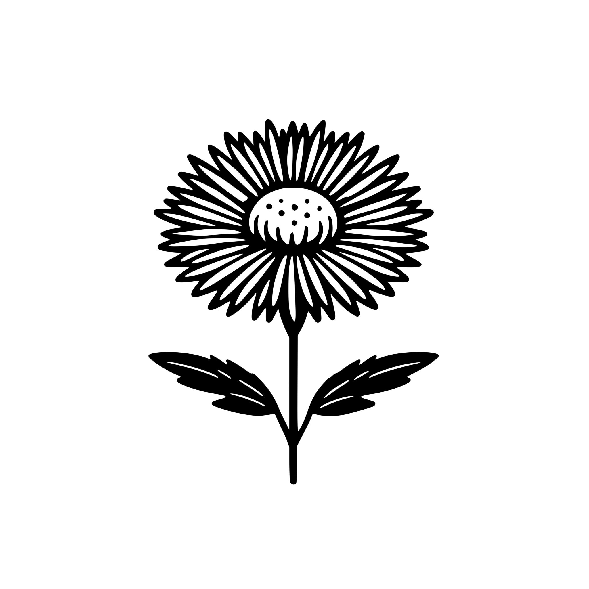 Shop - Creative Meadow