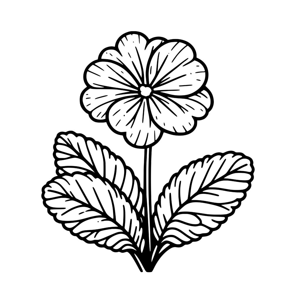 Pretty Primrose Graphic – SVG, PNG for Cricut & Silhouette