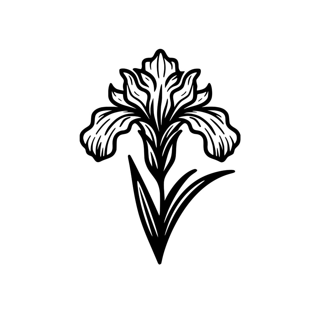 Iris Silhouette – Creative Meadow