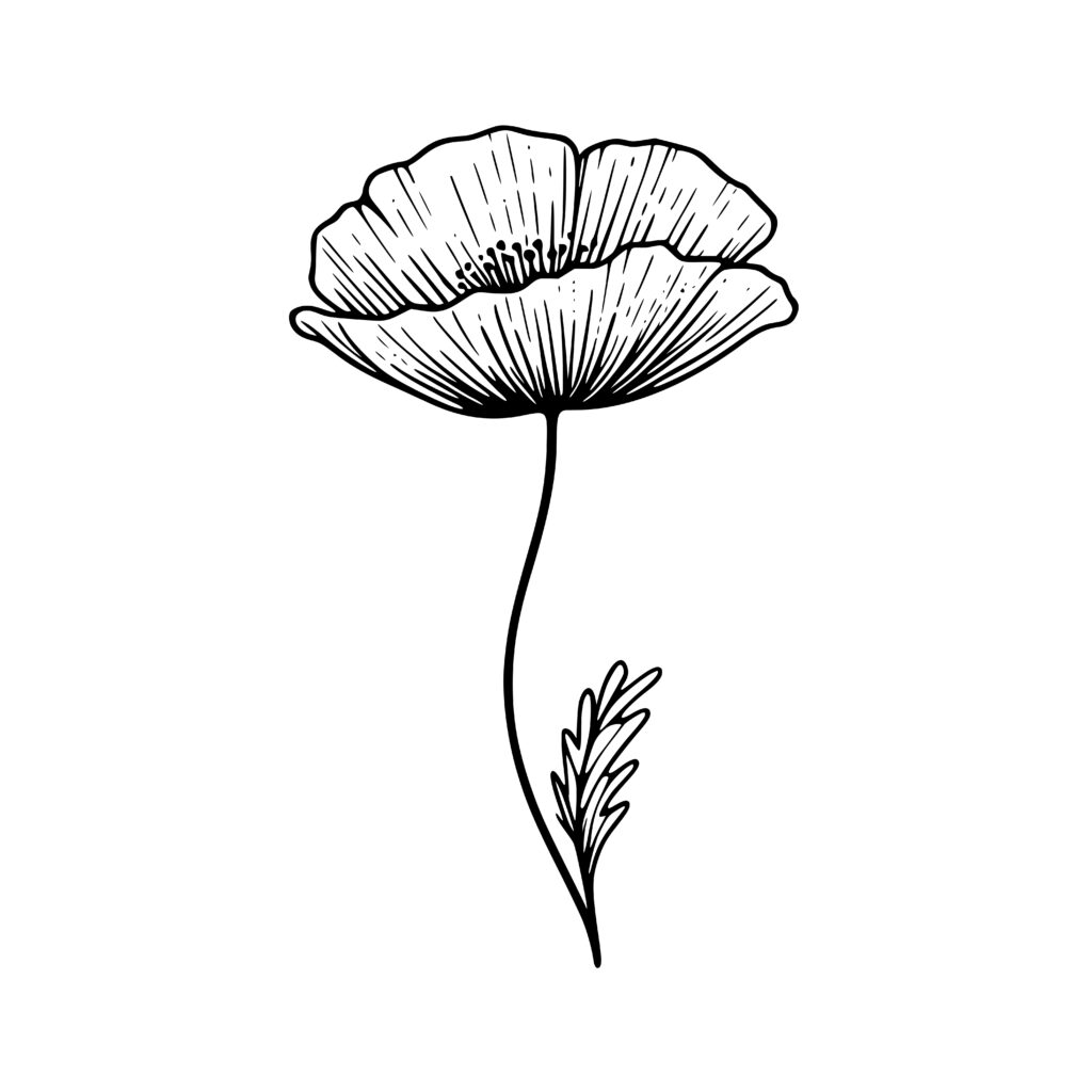 Elegant Poppy Design for Cricut, Silhouette & Laser Machines