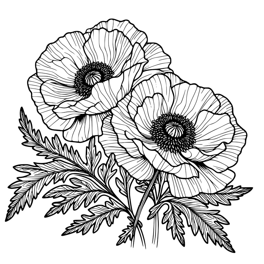 Dainty Poppy Trio – Creative Meadow