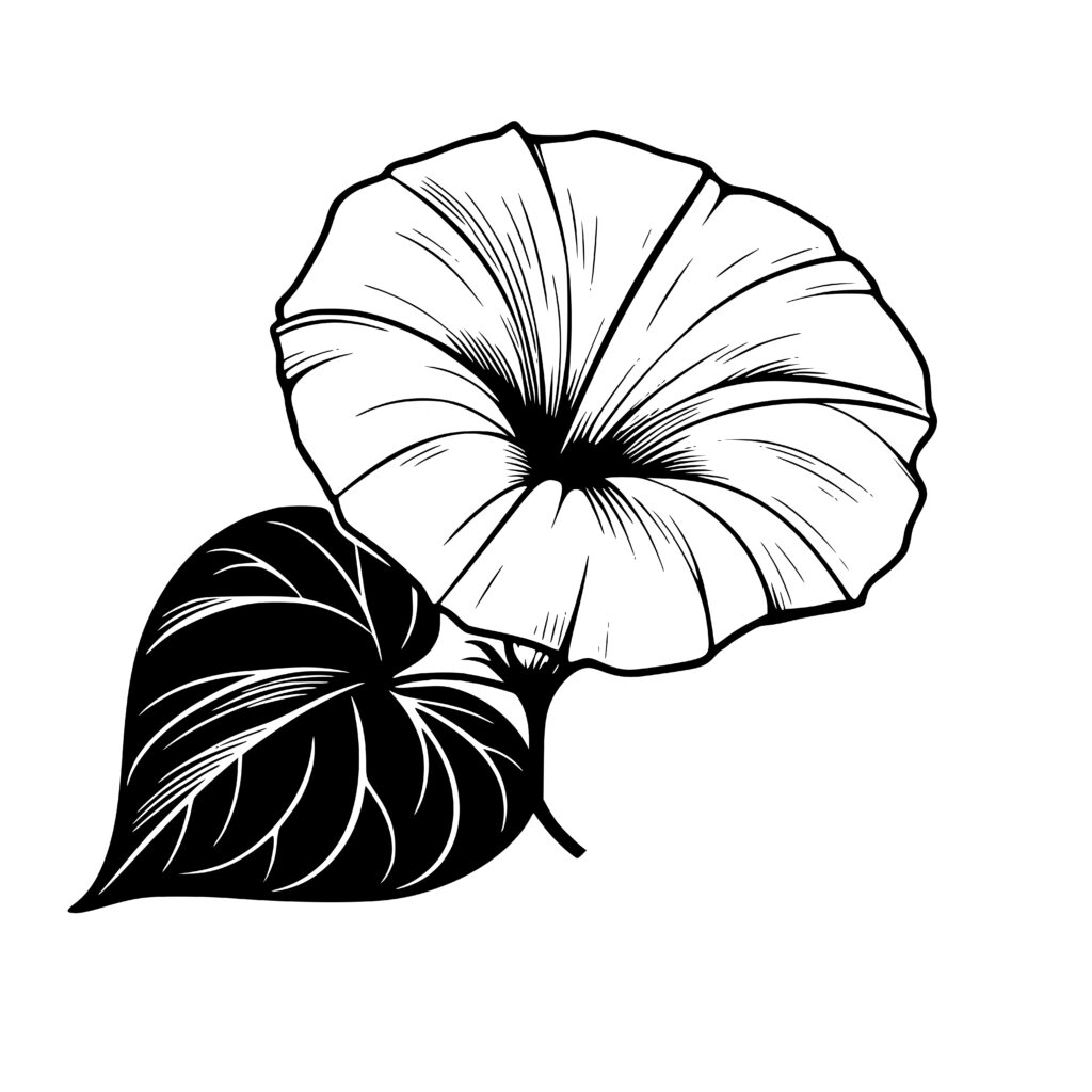 Heartfelt Morning Glory Design for Cricut, Silhouette, Laser Machines