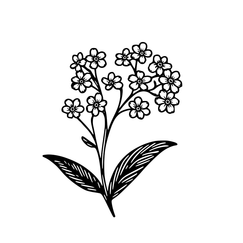 Forget-me-not Flower Cluster SVG Graphic for Cricut & Laser Tools