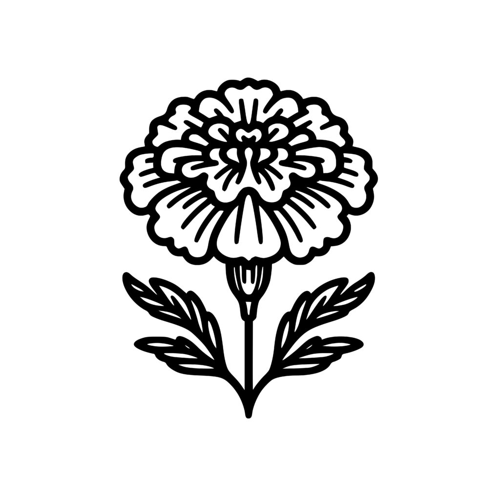 Dazzling Marigold – Creative Meadow