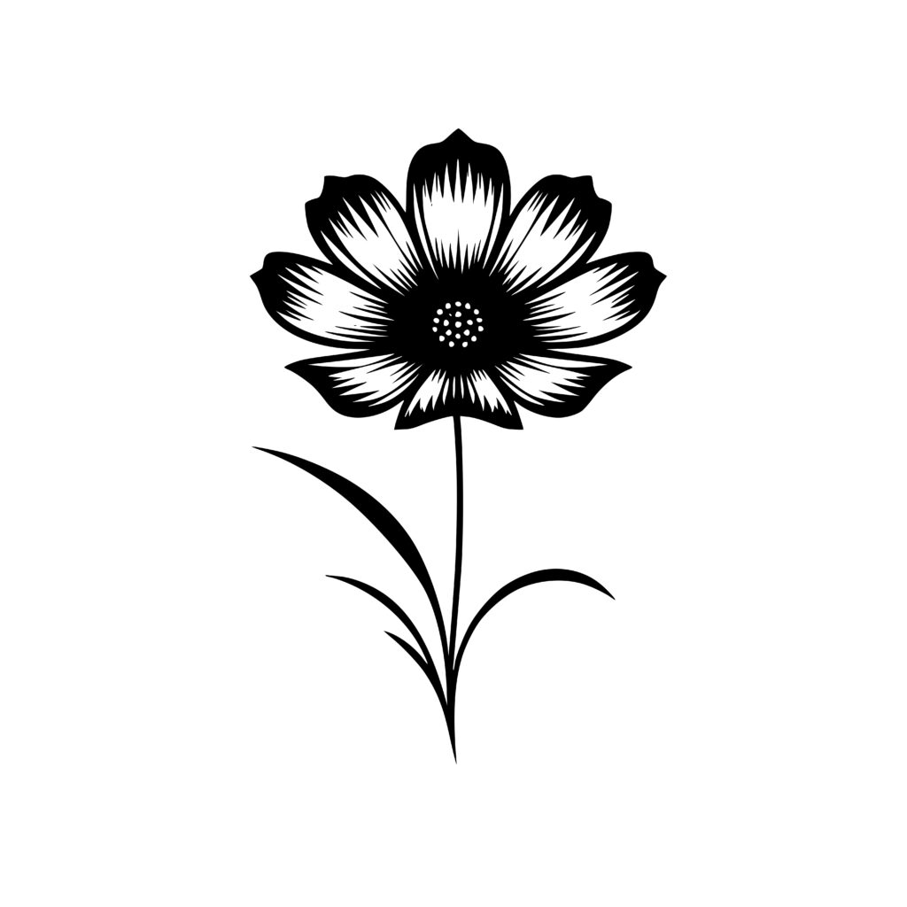 Simple Cosmos SVG Design for Cricut, Silhouette, Laser Machines