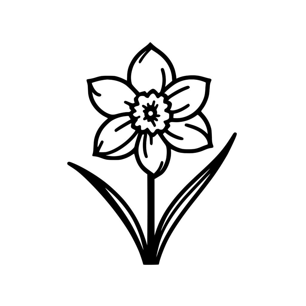 Trumpet Narcissus SVG, PNG, DXF Files for Cricut, Silhouette