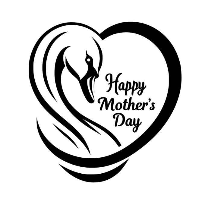 Animals - Creative Meadow