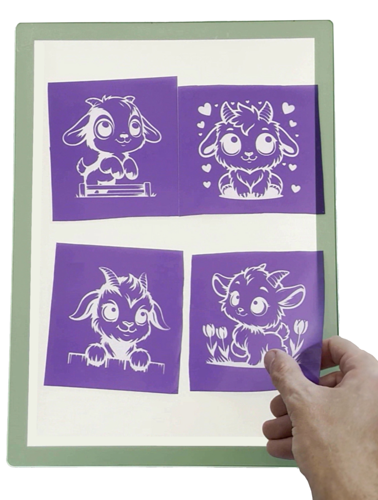 Jeff - Creative Meadow