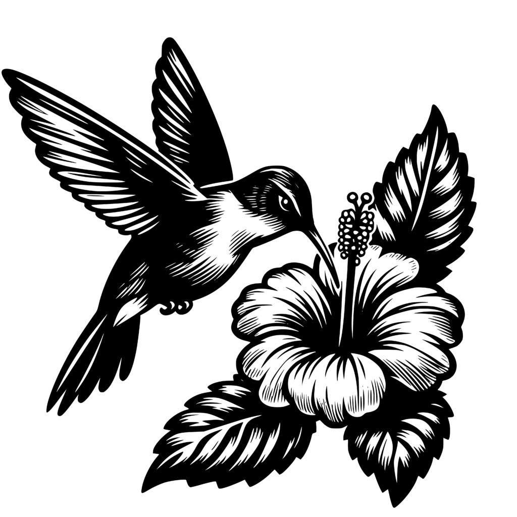 Shop - Creative Meadow