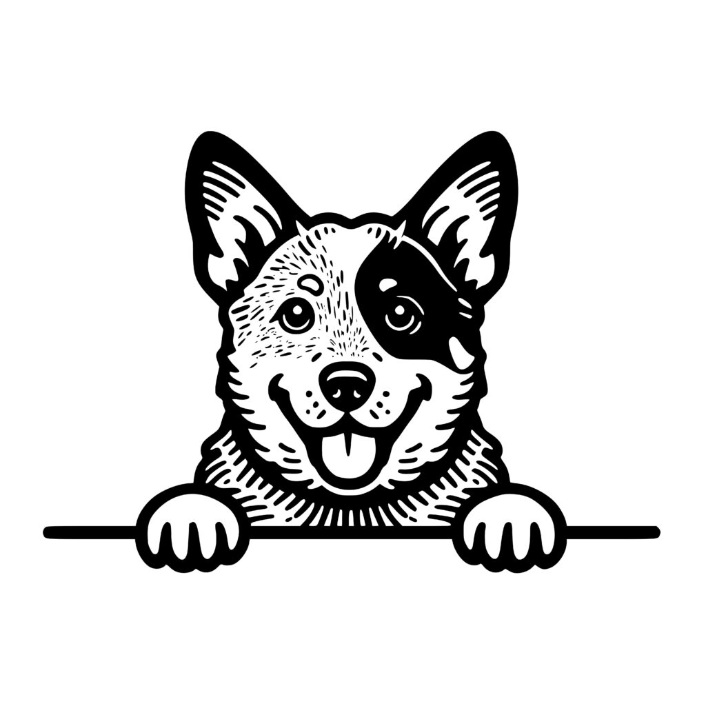 Blue Heeler Peeking – Creative Meadow