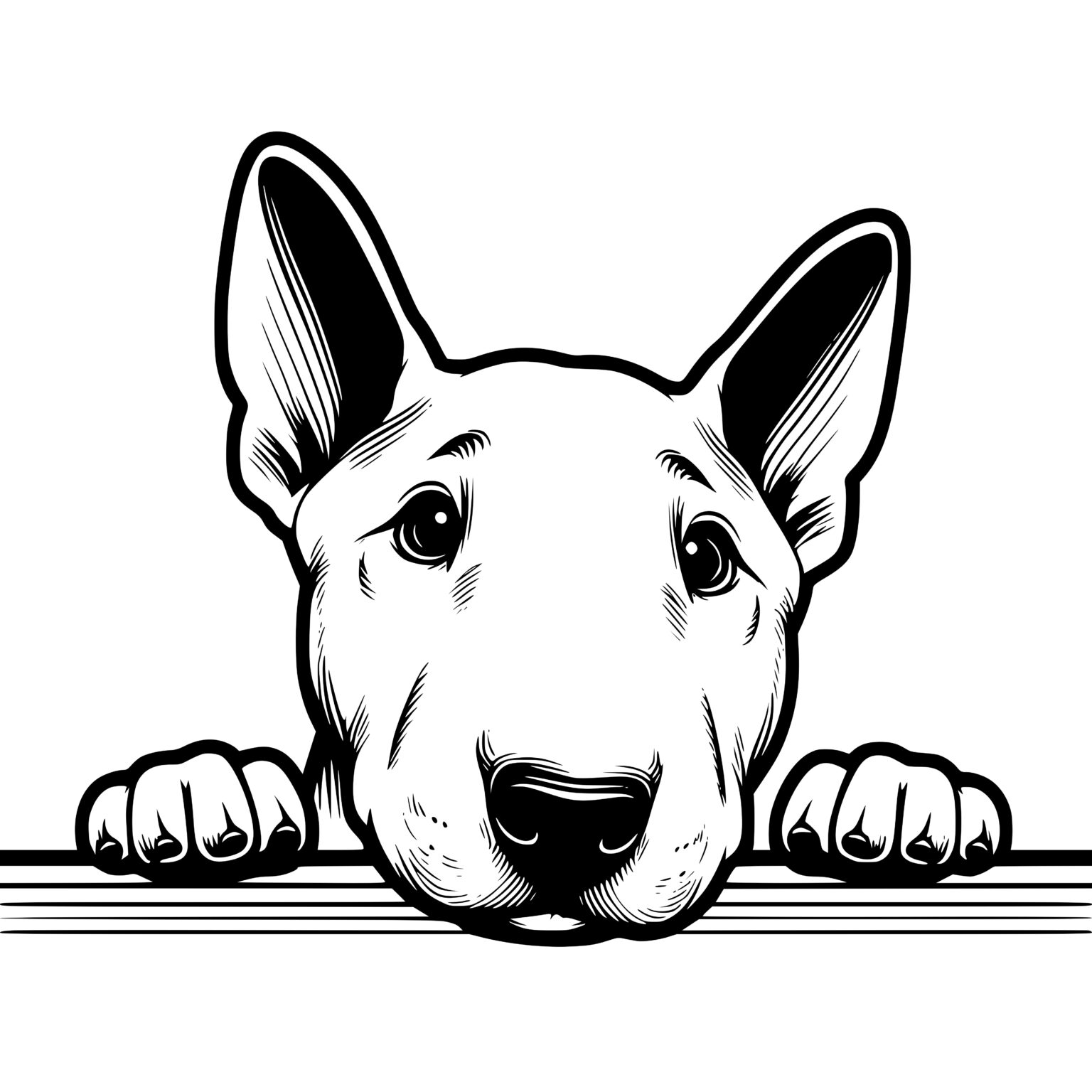 Bull Terrier Stare – Creative Meadow