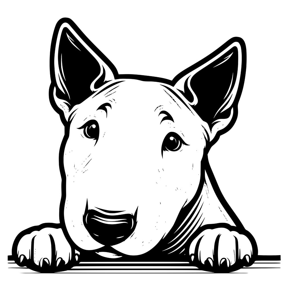 Alert Bull Terrier Pup – Creative Meadow