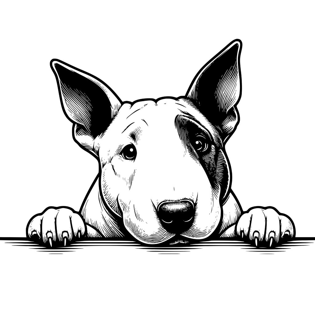 Hide-and-seek Bull Terrier – Creative Meadow