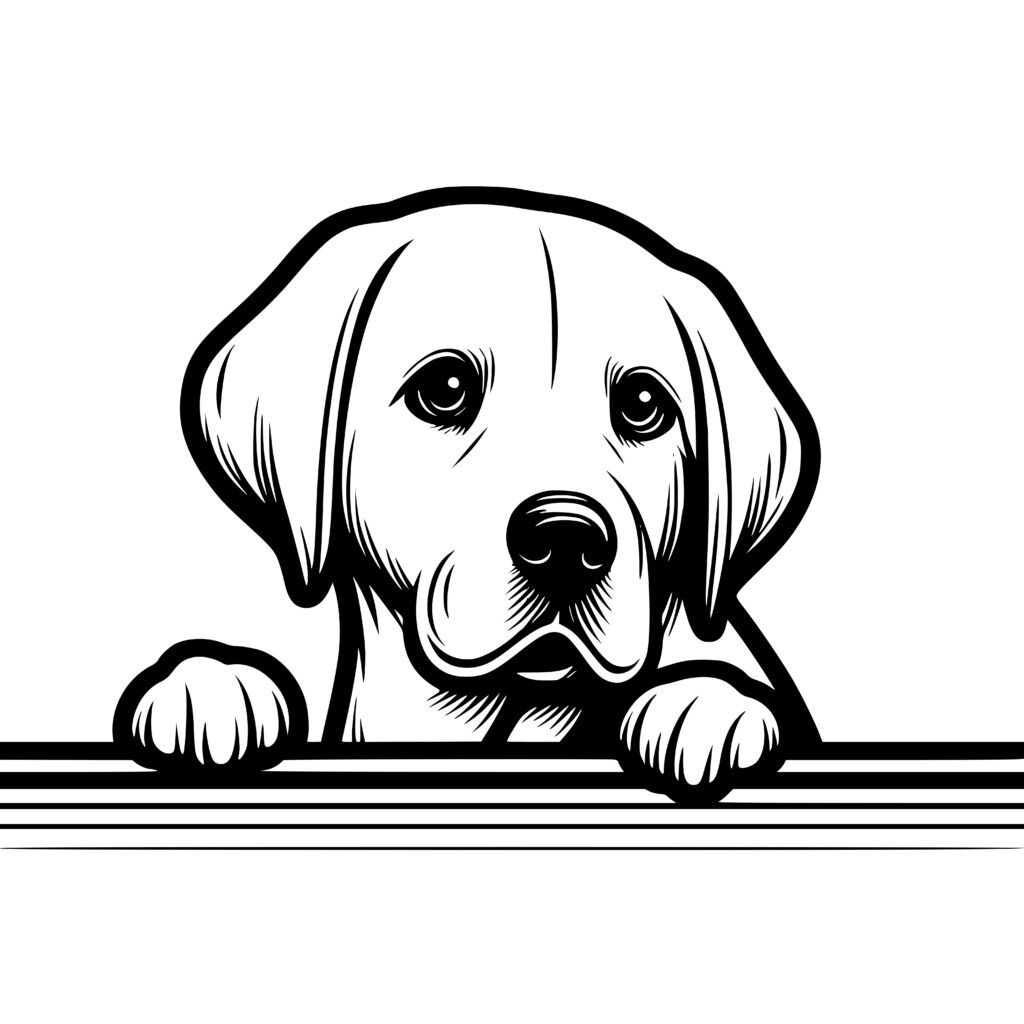 Peeking Labrador Retriever SVG PNG DXF Files for Cricut
